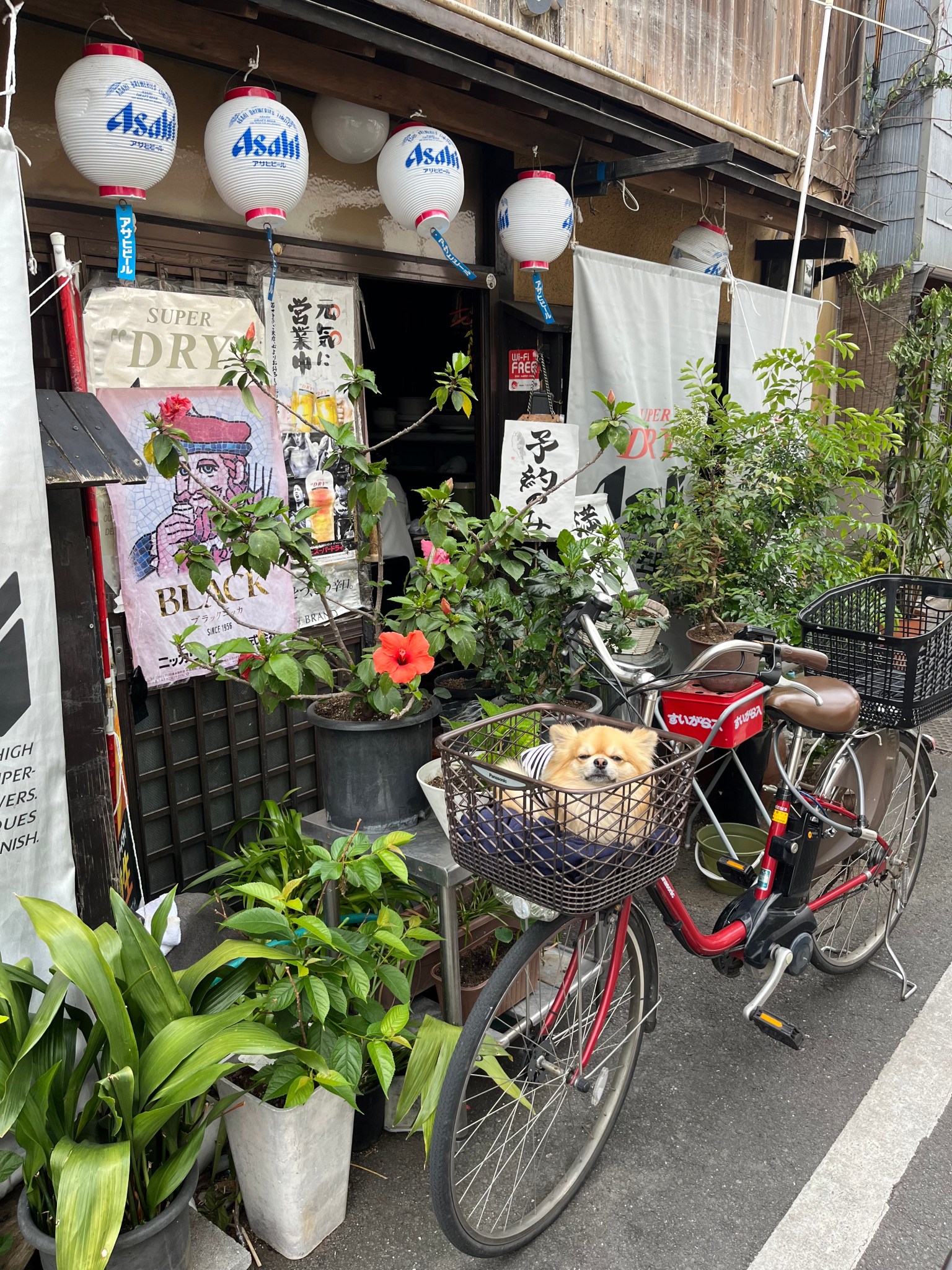 One Day in Beppu, The Perfect Itinerary – 24 hours in Japan